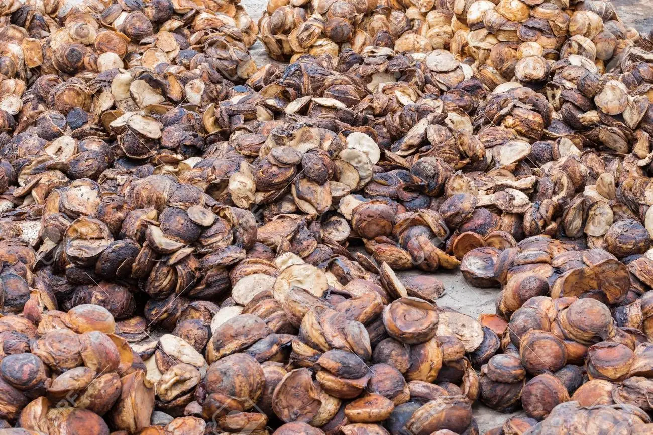 Natural Rubber Cup Lump Great AA+ - Versatile & Durable