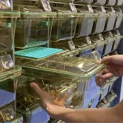 Animal Laboratory IVC Cages - Low Noise & Durable