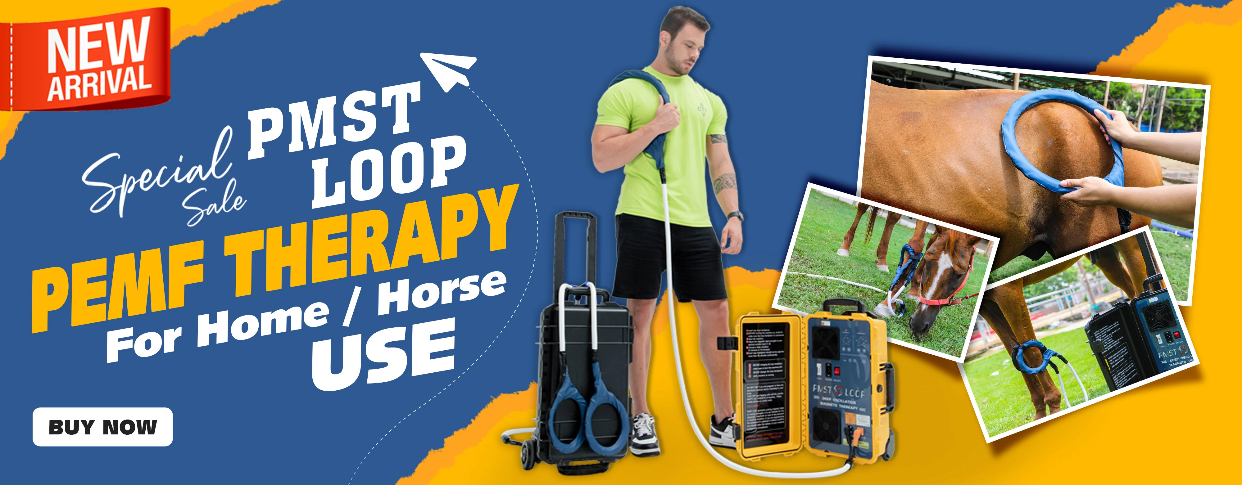 Portable Equine Pmst Loop Physio Magneto Pemf Machine Physio Therapy ...