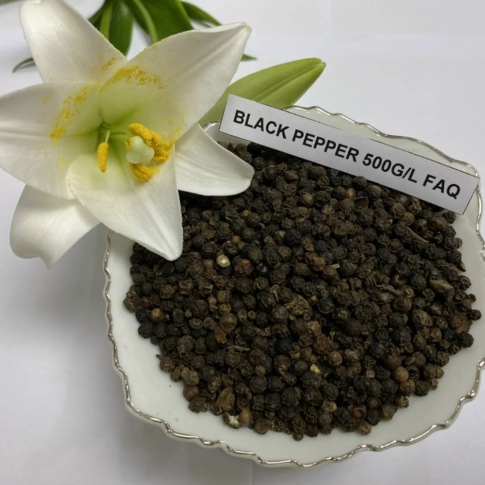 Cheap Price Dried Black Pepper 500gl 550gl 570gl 5mm for Grounded Black ...