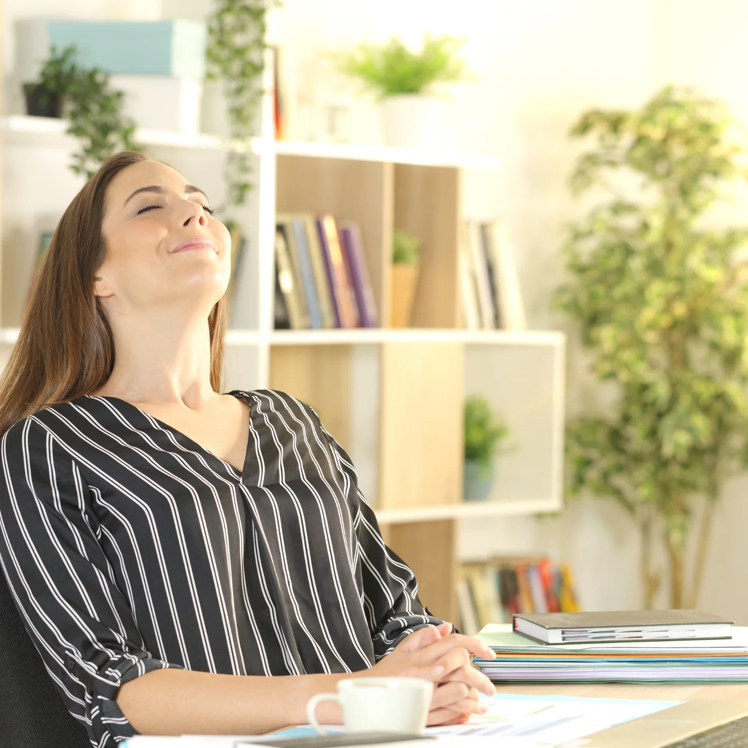 Live Mango Tree - Premium Tropical Palmer Mango Fruit Plant,High Yield ...