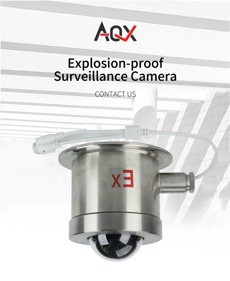 304 316 CCTV VIDEO Explosion Proof Dome Security Camera IP PTZ CAMERA ...