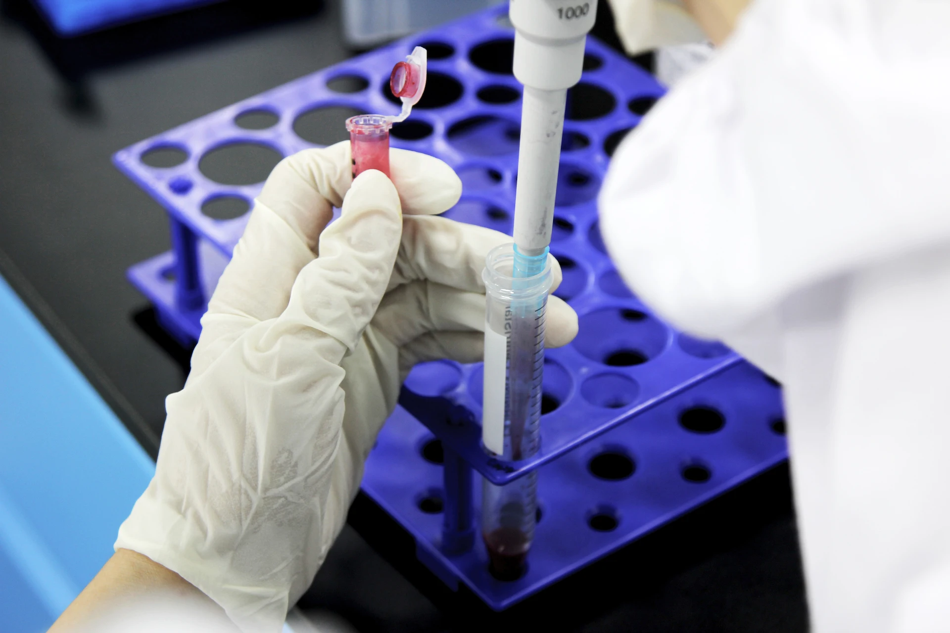 Canine Heartworm Antigen Ehrlichia Babesia Gibsoni Anaplasma Antibody ...