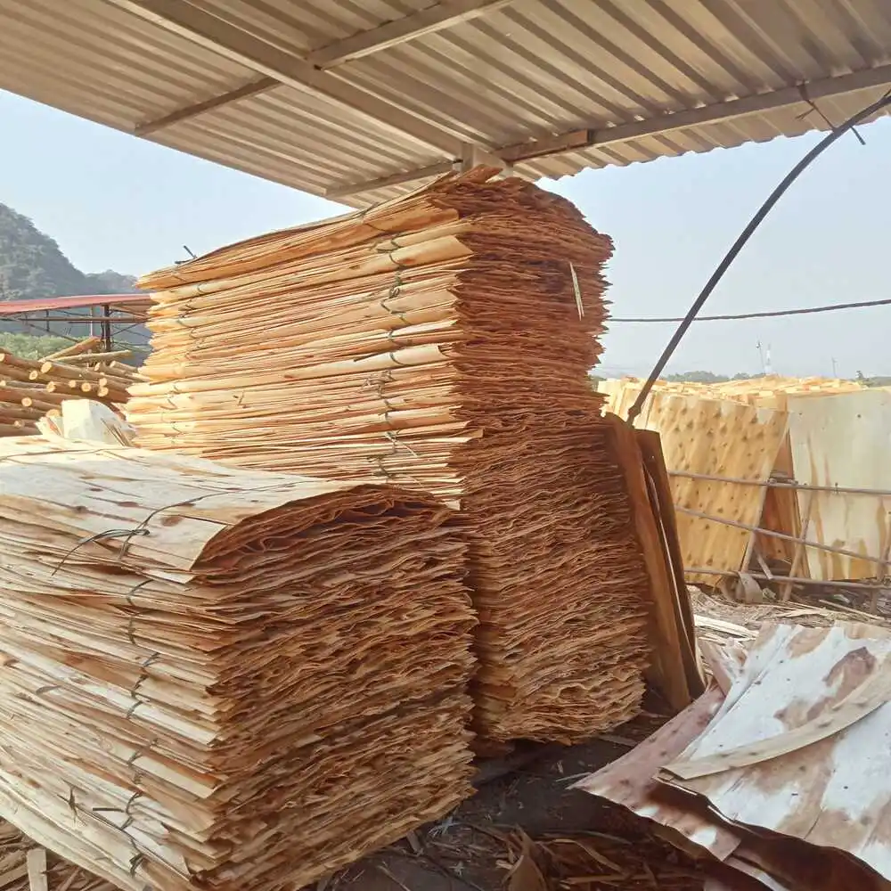 Eucalyptus/ Acacia/ Rubber Wood Core Veneer 2023 Vietnam - Natural ...