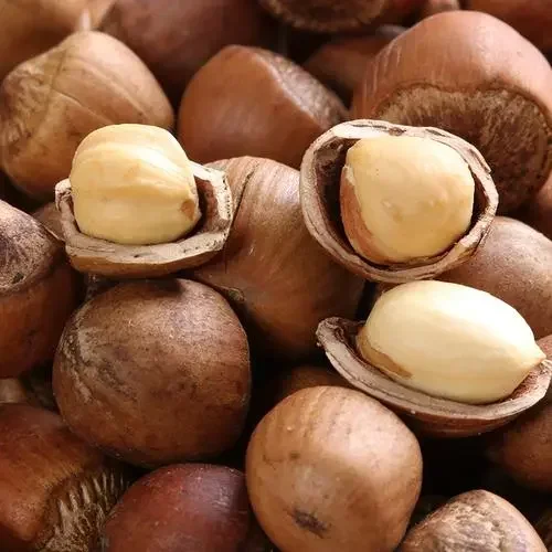 50kg Bags Hazelnut Kernels Hazelnut Peeled Hazelnuts Wholesale - Buy ...