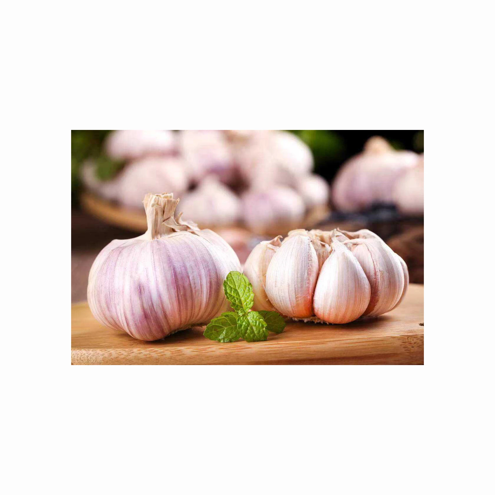 Fresh Garlic New Crop Snow White Garlic Pure White Garlic Supplier ...