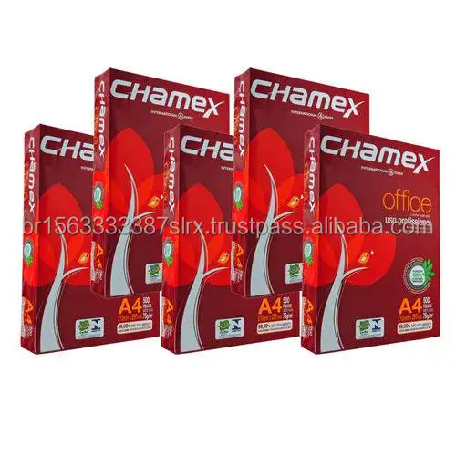 Chamex A4 Copy Paper - 80 GSM, 500 Sheets Per Ream, Ideal for Office ...