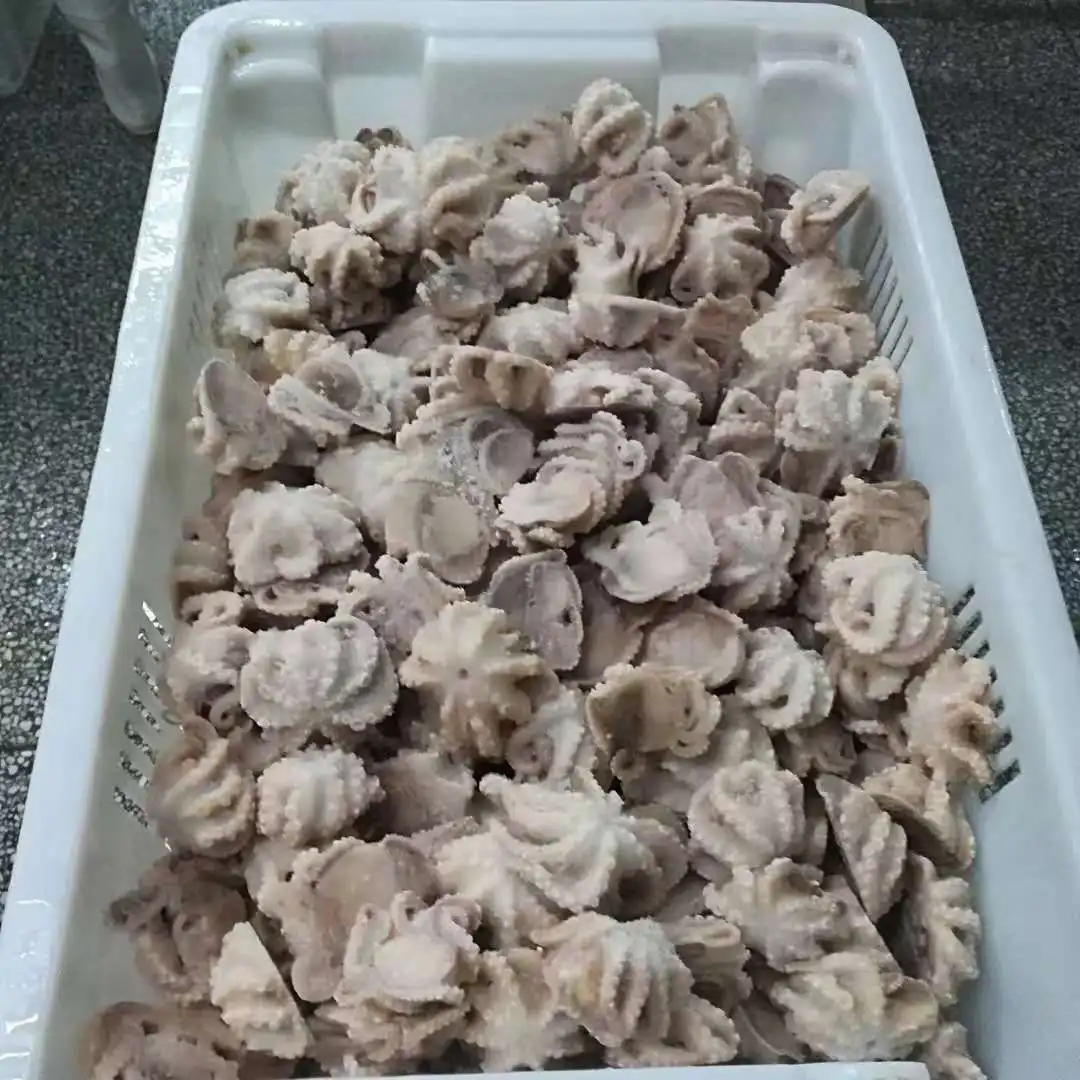 Frozen Baby Octopus Squid Fish Flowers For Market 20-40 40-60 Good ...