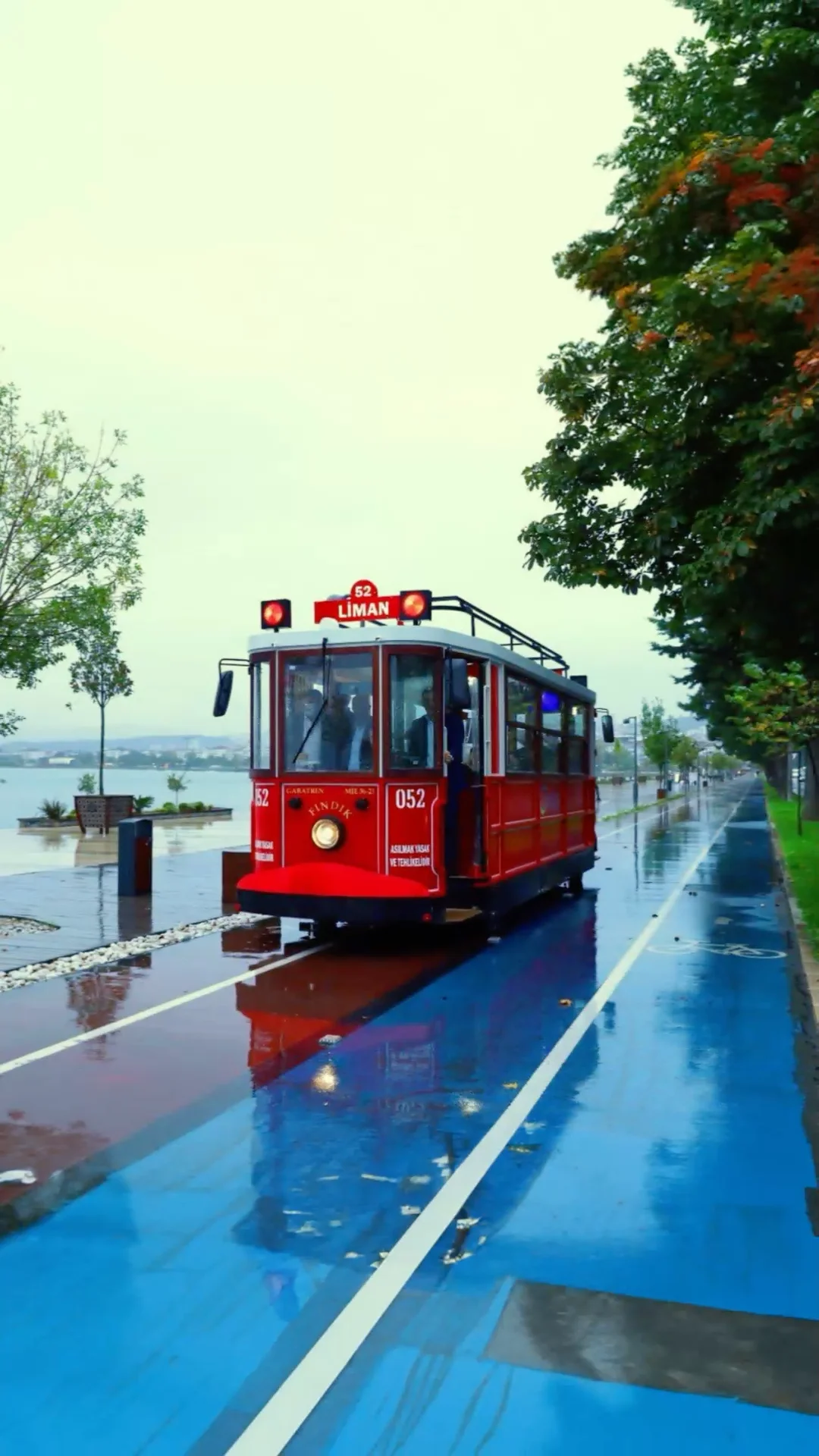 Indoor-outdoor Electric Tram Adult Tram Made Of Wooden Aluminum Steel ...