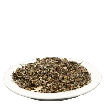 Wholesale Tulsi Patta - Ocimum Tenuiflorum - Basil Leaves - Buy Tulsi ...