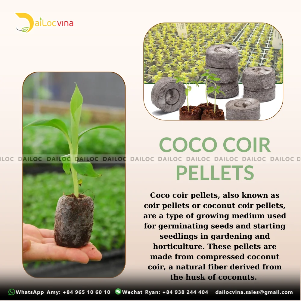 COIR PELLETS COCO PELLET COIR DISC for GARDENING & SEEDS GROWING MADE ...