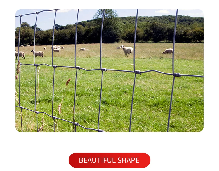 Galvanized Iron Chicken Netting Plastic Mesh Electric Poultry Coop Cage ...