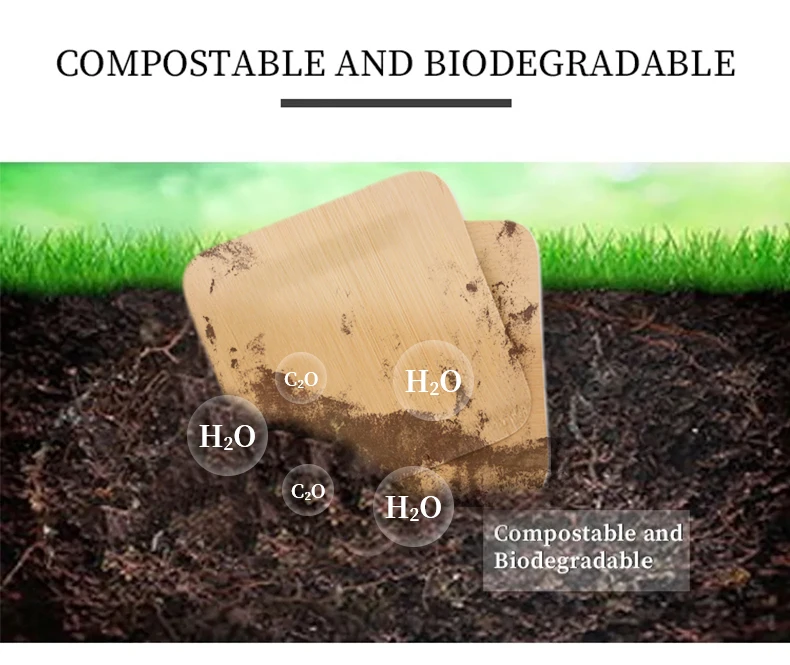 Bamboo Crafts Custom 100% Natural Biodegradable Disposable Bamboo Raw ...