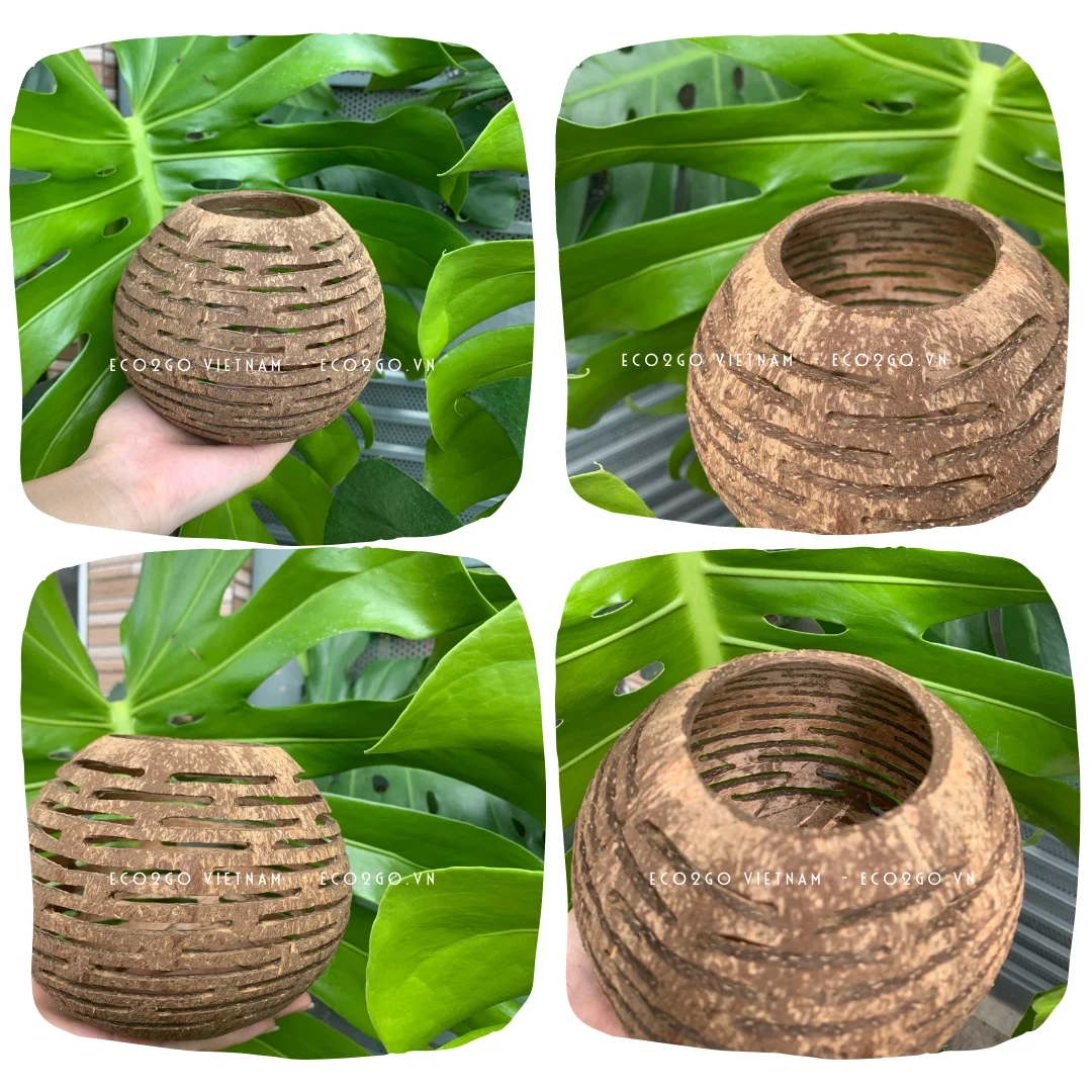 Best Seller Coconut Shell Tea Light Holder/ Coconut Candle Holder for ...
