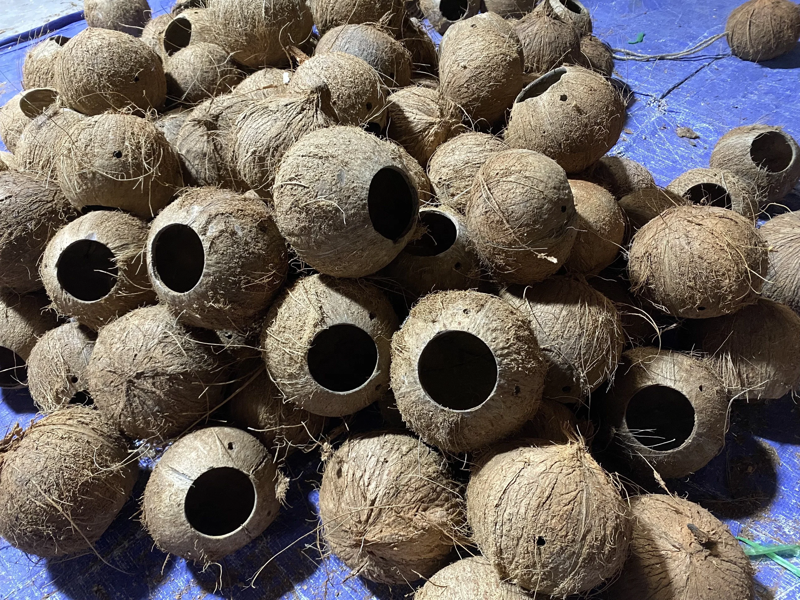 Coconut Bird House Bird Nest Small Animal Hides Cage Habitat Hideout ...