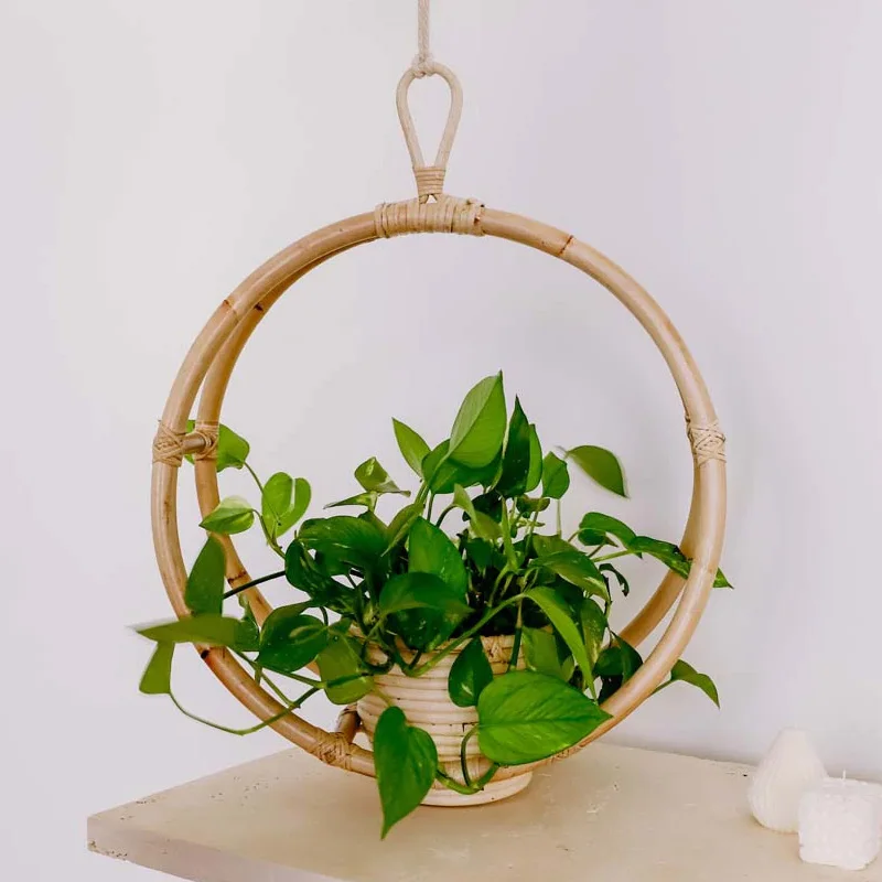 Natural Luxury Rattan Cane Screen,High Quality 3 Panel Cane Partition ...