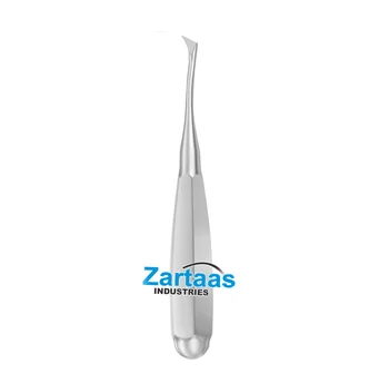 2024 High Quality Stainless Steel Cryer-white Root Elevator,Broad,Right ...