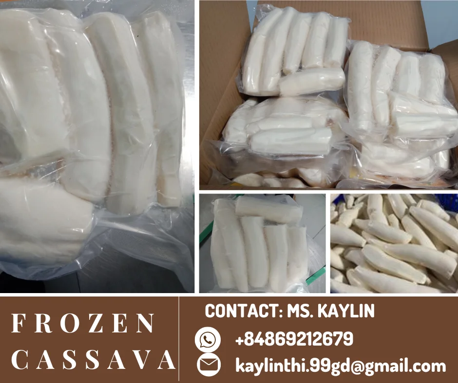 Frozen Fresh Cassava Without Skin - High Quality from 99 Gold Data