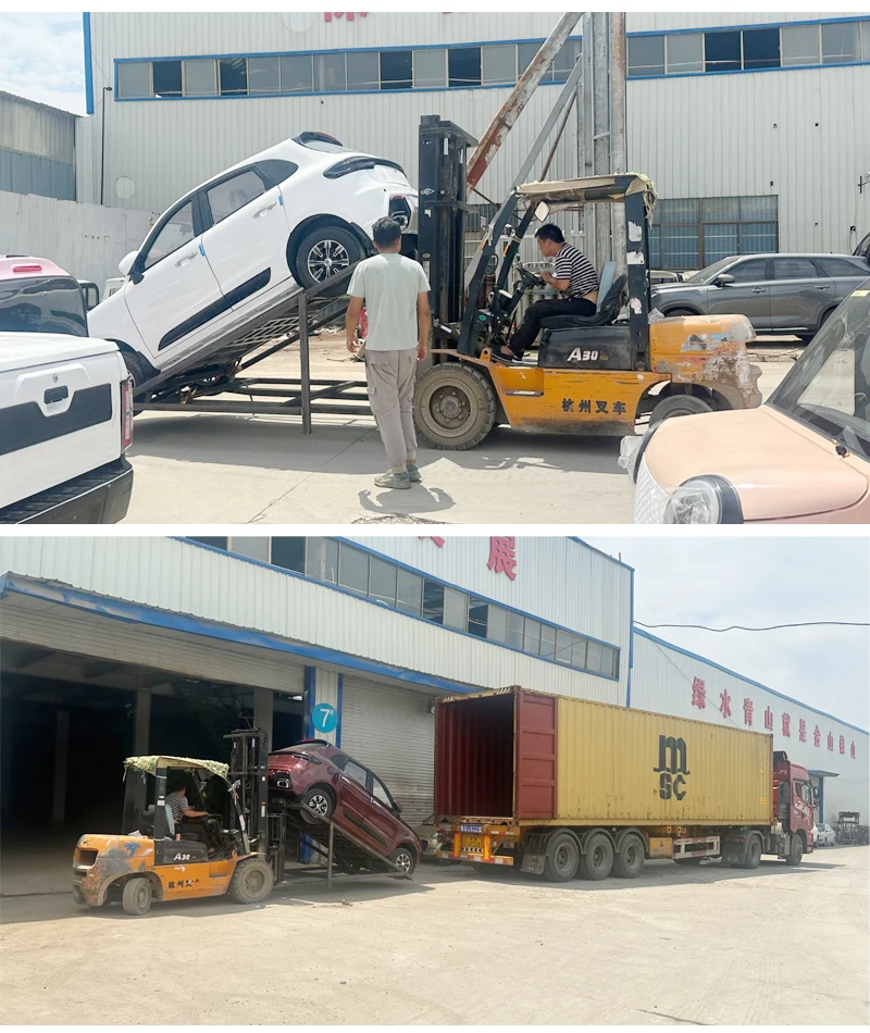 Lesheng New Model High Speed 50km/h Long Mileage 4 Wheel Mini Electric ...