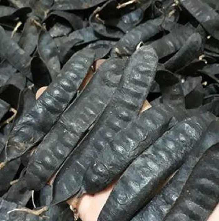 Wholesale Cheap Price Premium Quality Frozen Dried Locust From Vietnam ...