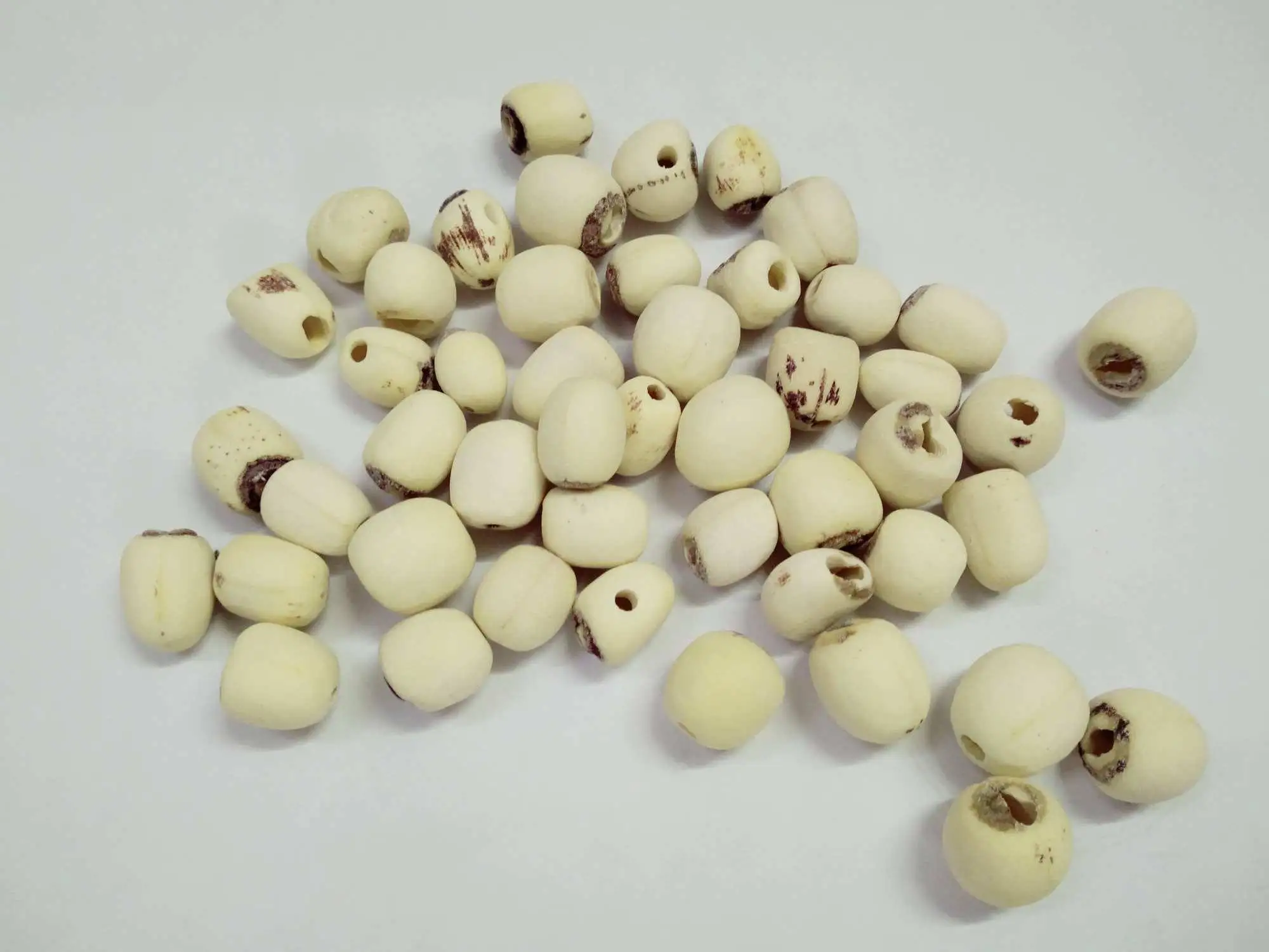 Hot Sale 2023 Vietnamese Dried White Lotus Seeds With High Quality At ...