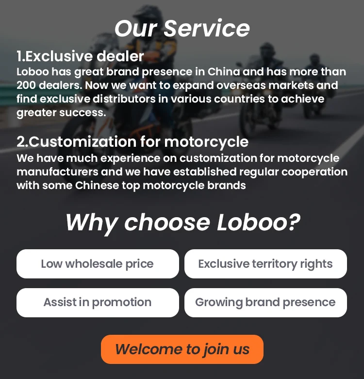 LOBOO Wanderer Series Crash Bar Bag - Durable Motorcycle Bag
