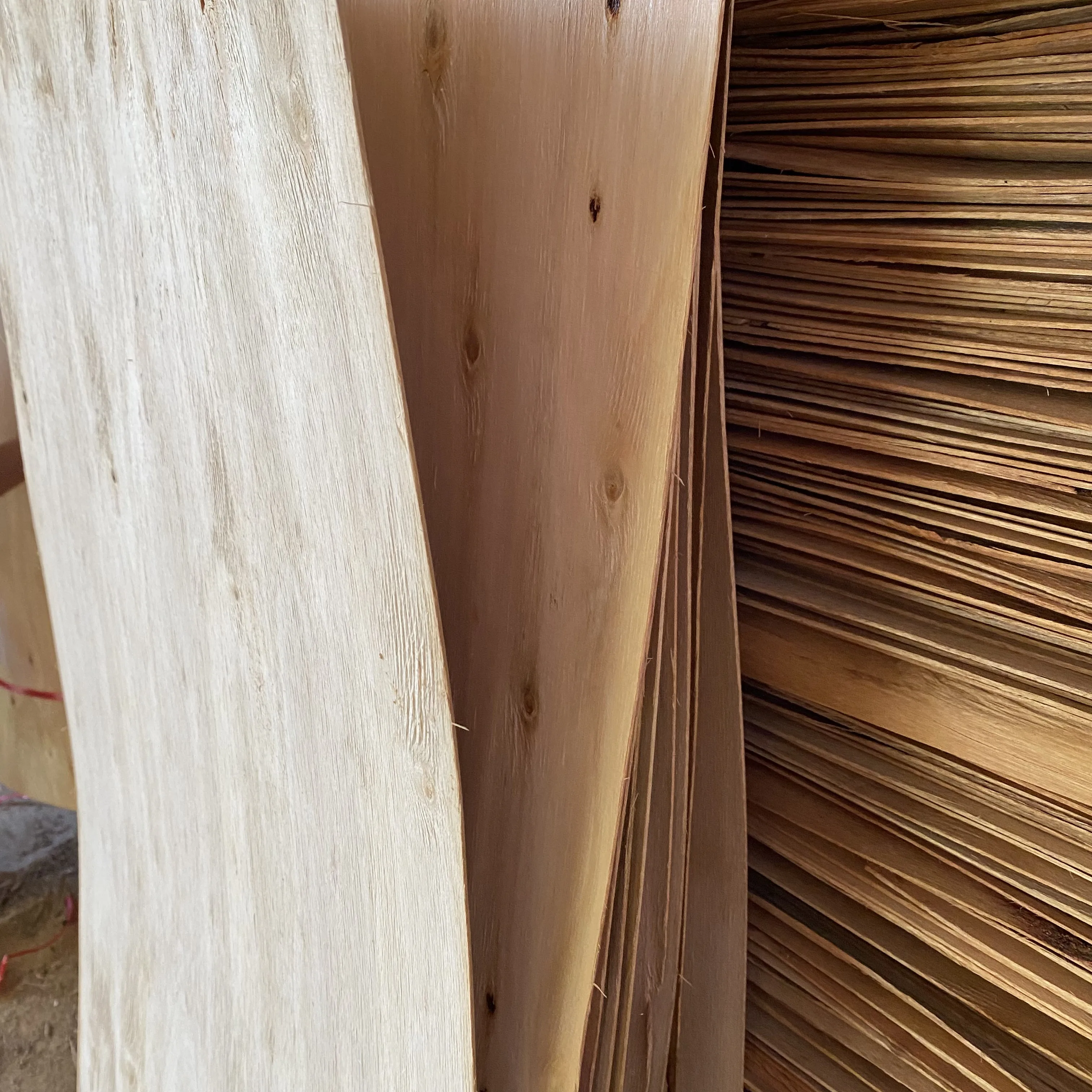 Industrial Design Eucalyptus Wood Core Veneer 1.7mm Thick For Outdoor Plywood Acacia Core Veneer ...