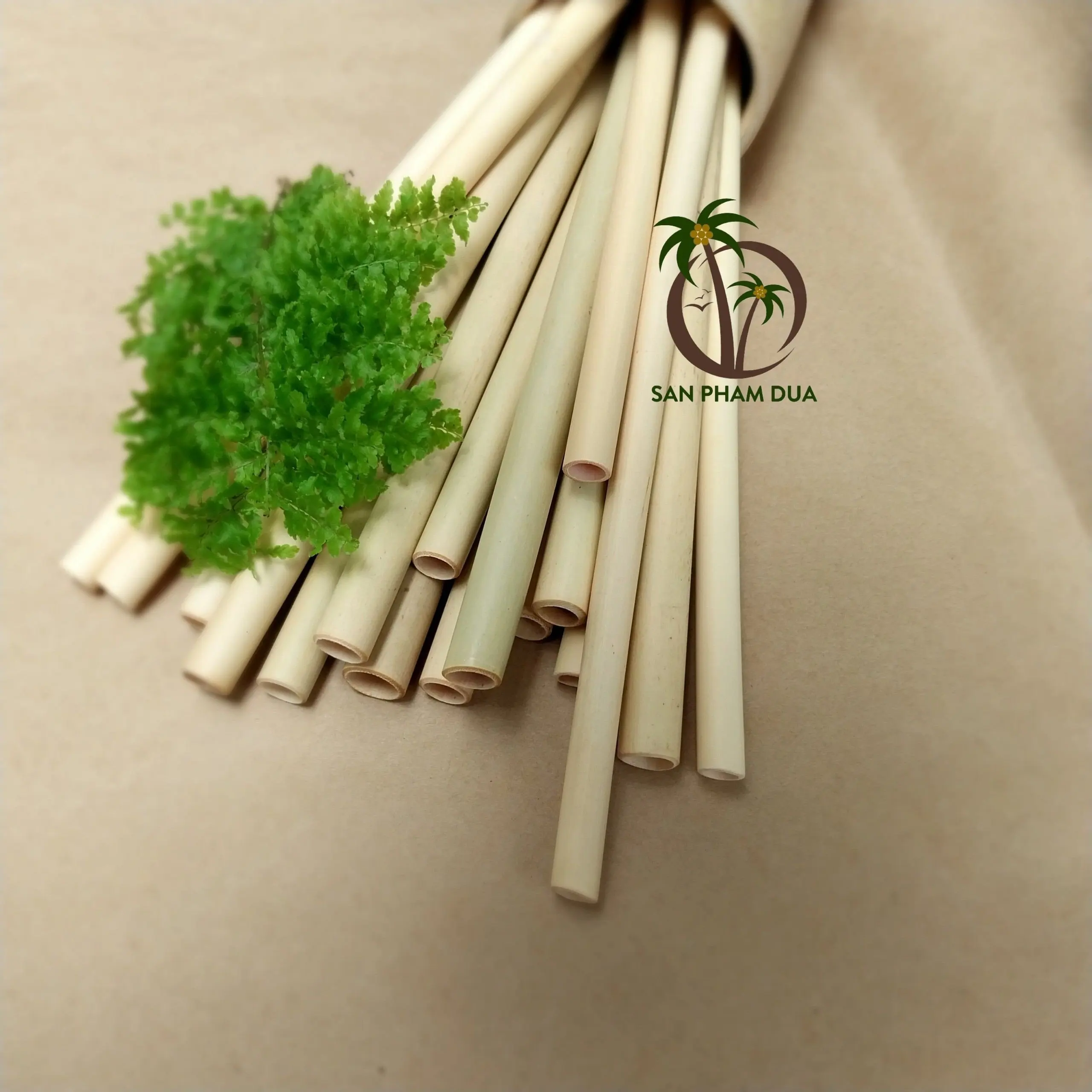 Eco - Friendly Bamboo Straw Very Cheap Hot 2023 / 100% Natural Non ...
