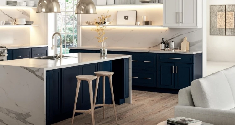 Restaurant Kitchen Cabinets Antique Luxury Plata Framed Shaker Cabinet ...