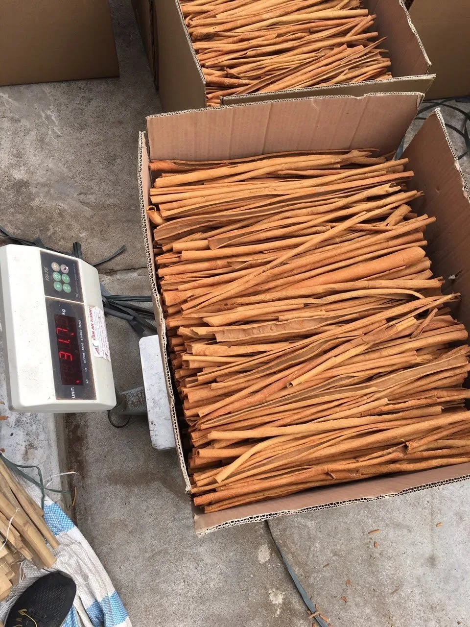 Cinnamon Cassia Sticks From Vietnam Good Price Spices Wholesale Yen Bai ...