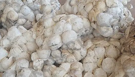 NITRILE BUTADIENE LIQUID RUBBER NBR LATEX DIRECT FACTORY| Alibaba.com