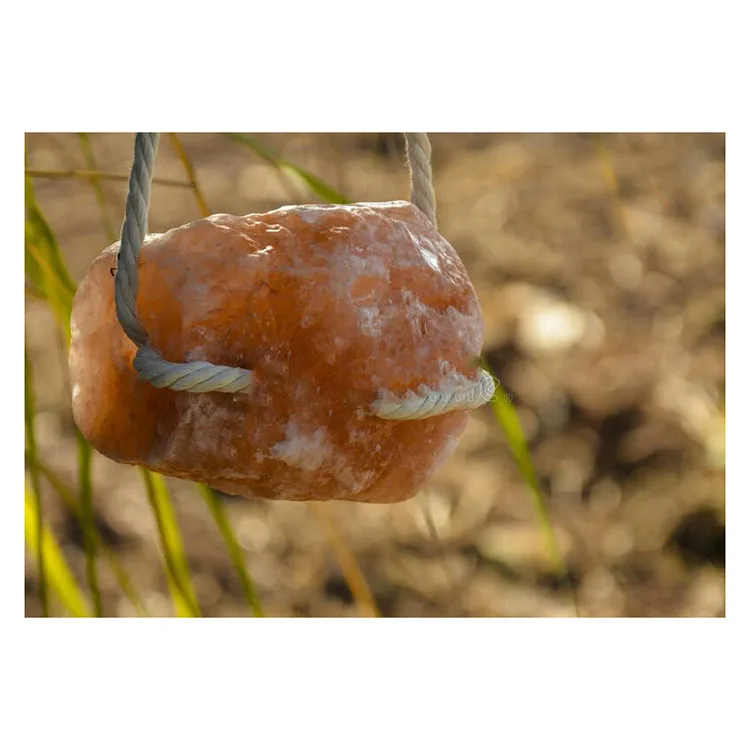 Natural Shape Himalayan Salt For Animal Lick From Crystals Of Himalayas ...
