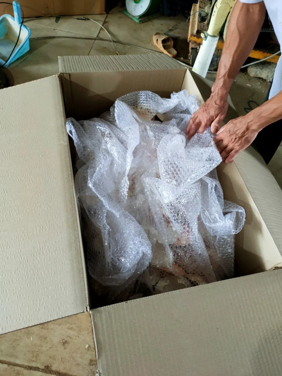 Dried Crab Shell - With The Cheapest Price In The Export Market Comes ...