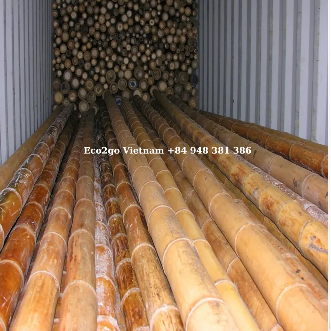Vietnam Bamboo Material Green Bamboo Poles/bamboo Poles Wholesale ...