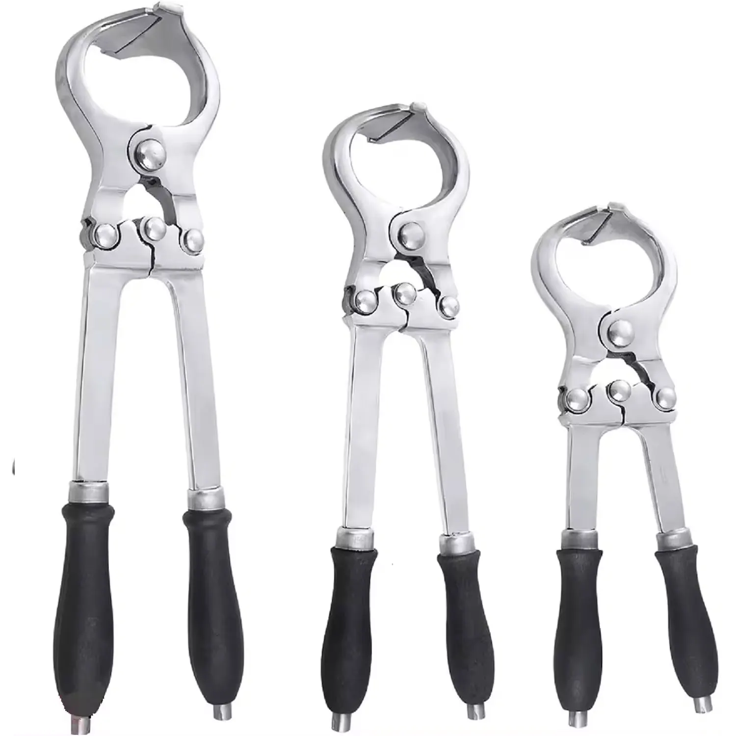 Castration Forceps/Plier - Veterinary Instruments - Castration of Male ...