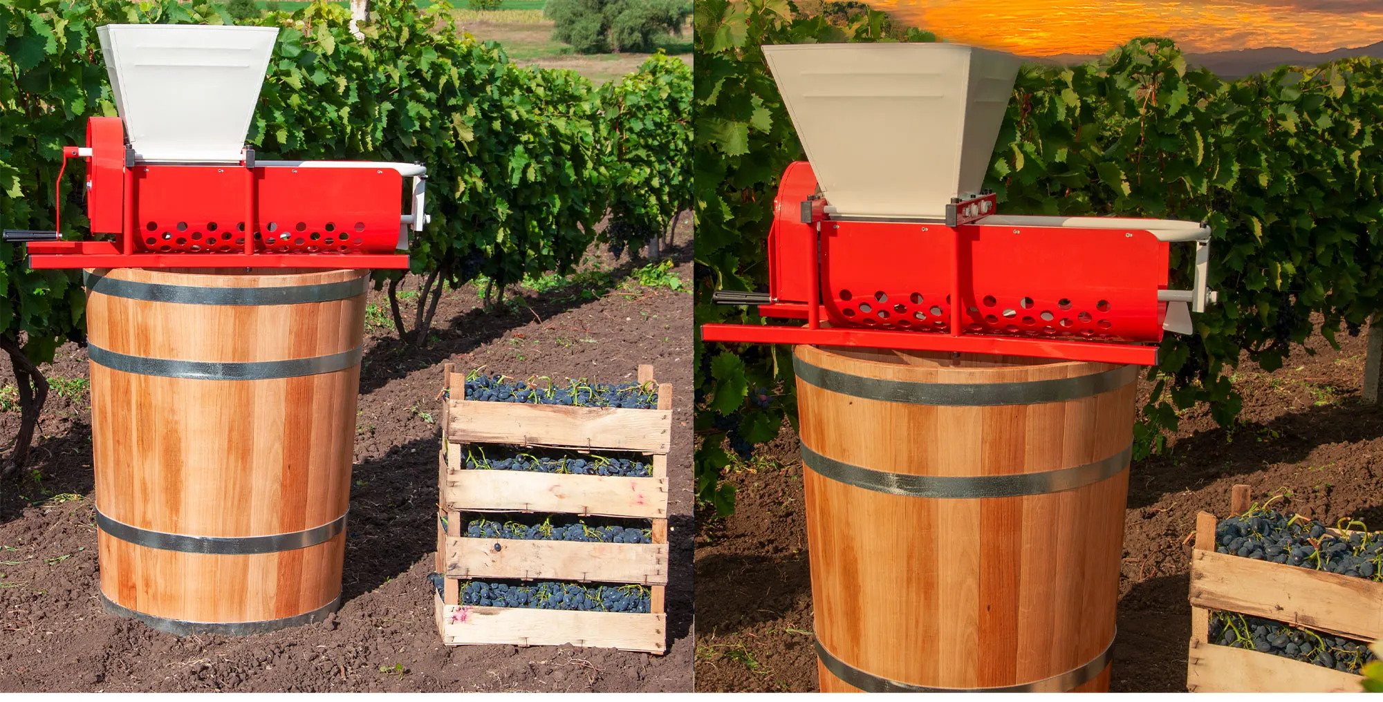 Grape Crusher & Destemmer Dg07 - Grape Crushing And Separation Machine ...