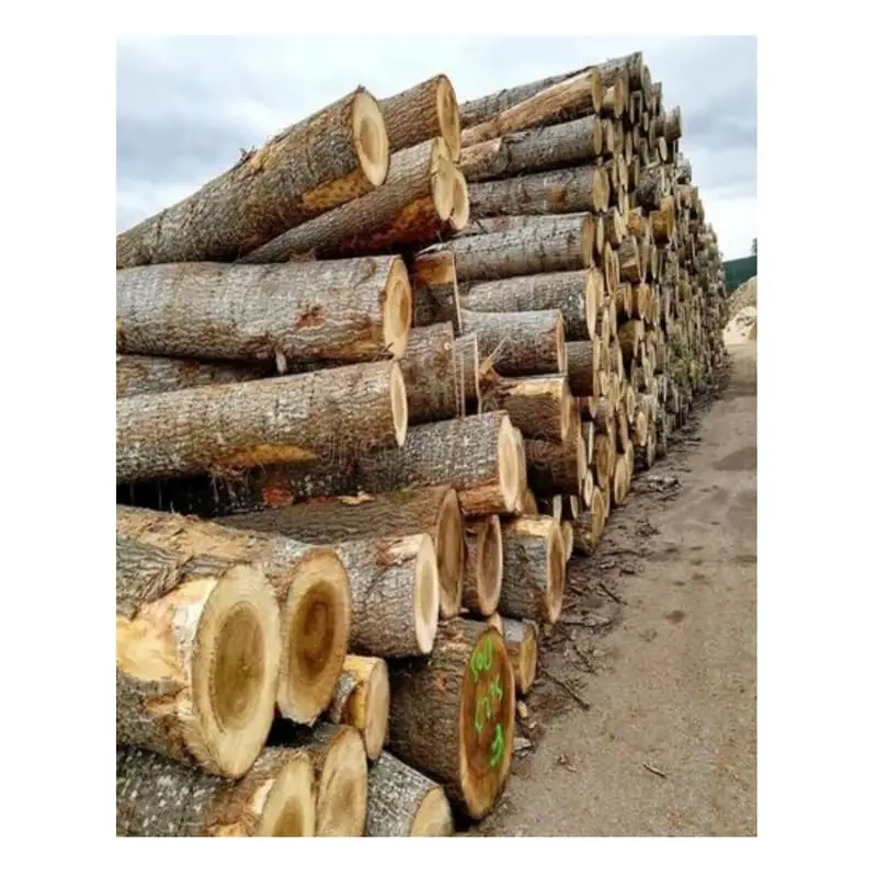Top Grade Teak Wood Timber Bulk Quality Dry Round Teak Logs Durable ...