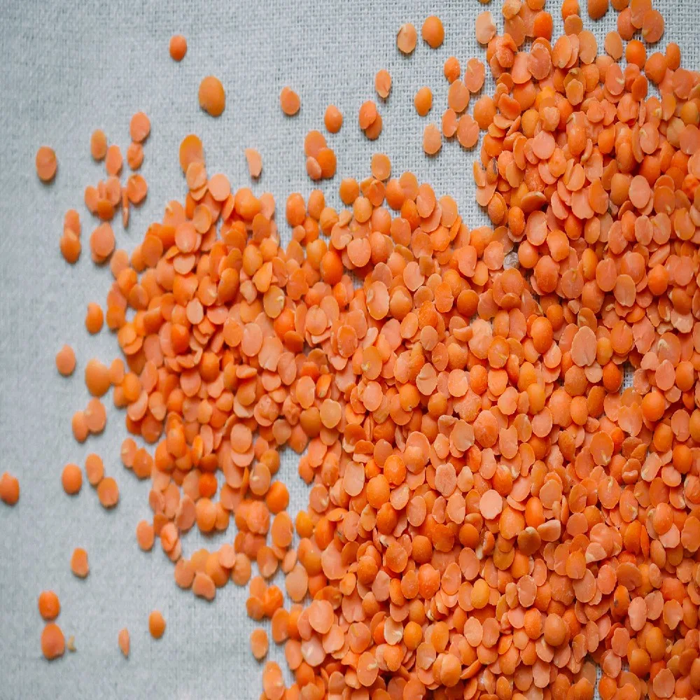 Quality Bulk Dried /lentils Red Lentils Green Lentils Brown Lentils ...