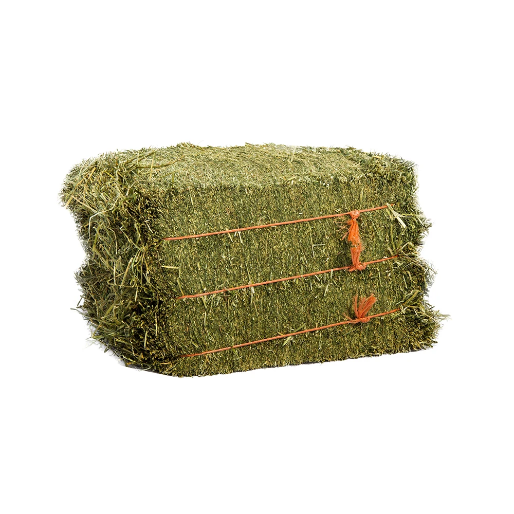 100% Pure Alfalfa Hay Timothy Hay Available - Buy Sale Alfalfa Hay For ...