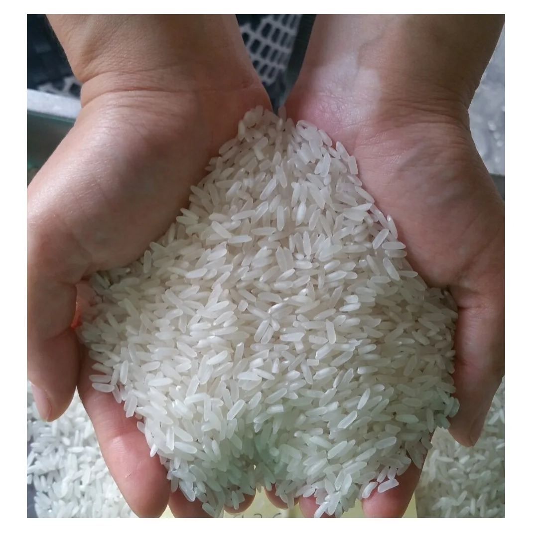 Thai White Rice Long Grain Premium Long Grain New Crop - Buy Thailand ...