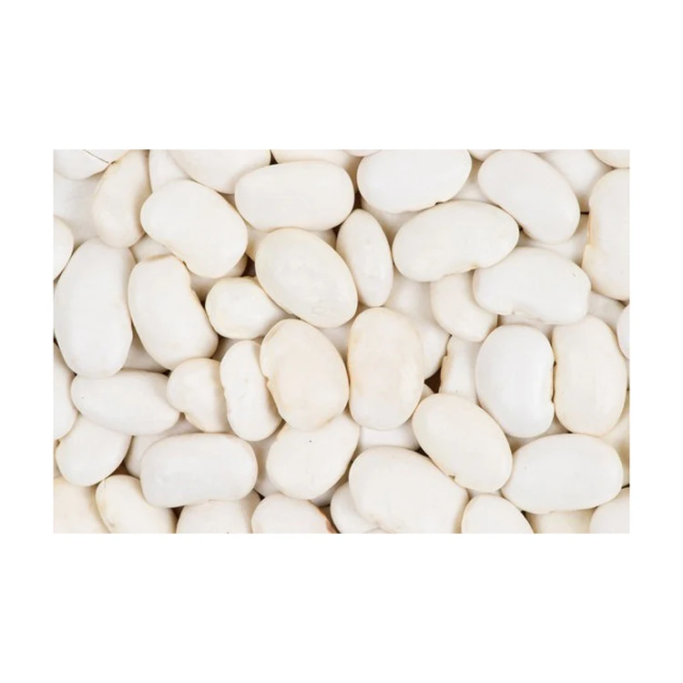 Best Price Large Lima Beans Bulk Stock Available With Customized Packing - Buy Wholesale ...