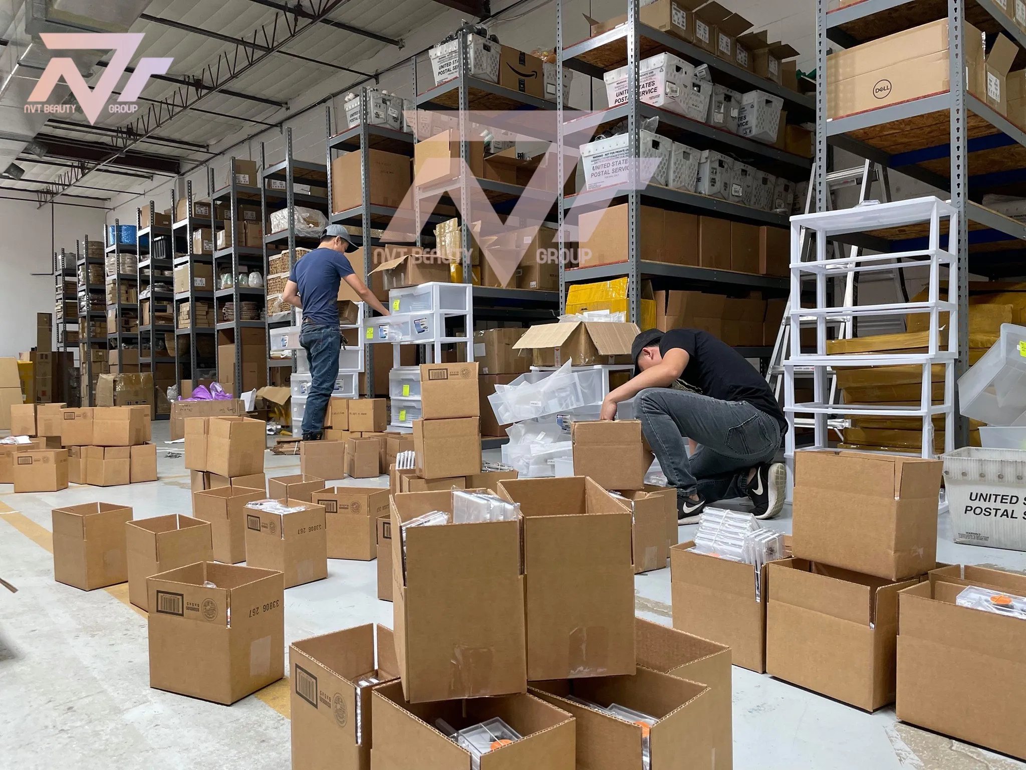 Ultra-speed Promade Lashes 3d-16d C Cc D Curl Volume Fans Eyelash Odm ...