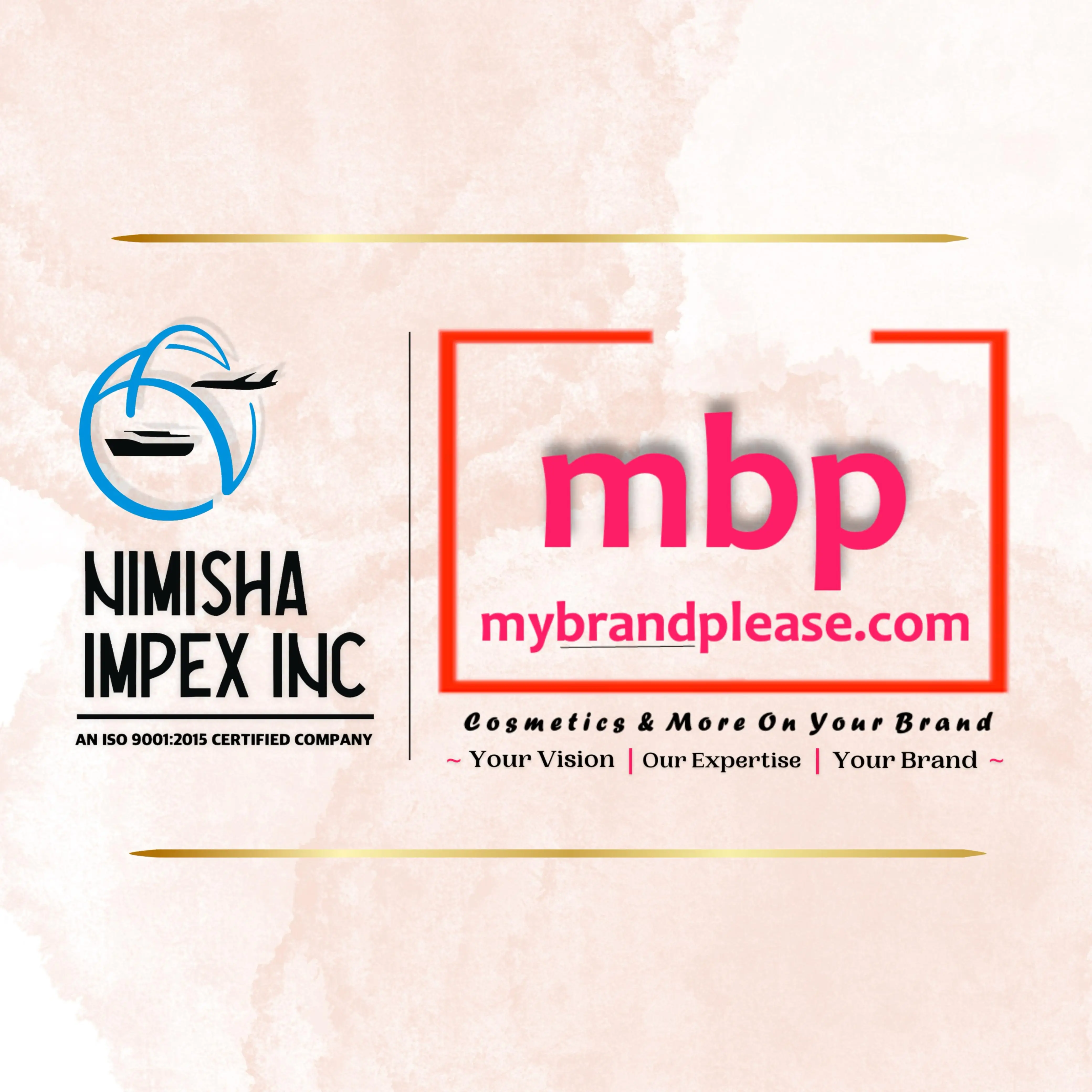 Company Overview - NIMISHA IMPEX INC