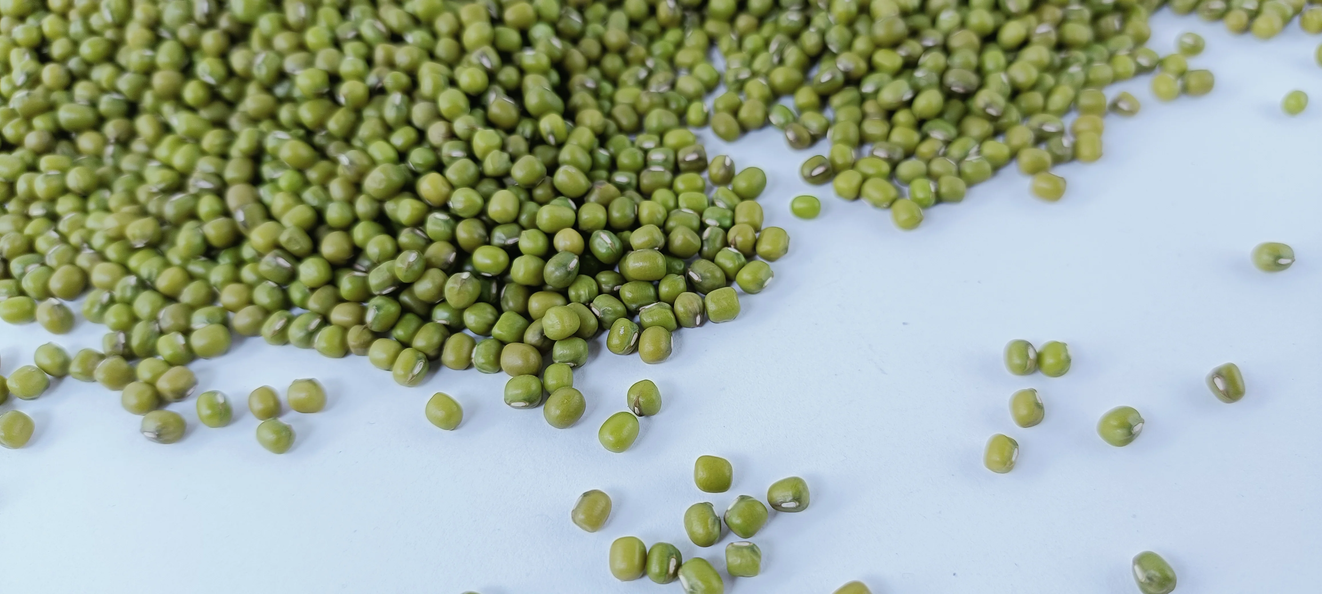 Ethiopian Green Mung Beans 2024 Crop,Bright Green Handpicked And Polished,Custom Packing - Buy ...