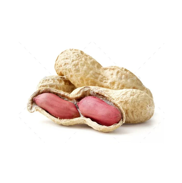 Wholesale Sheller Raw Kernel Peanuts Packaging Packing Peanut - Buy ...