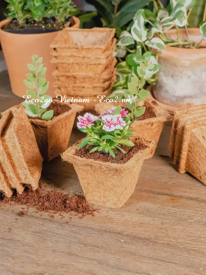 Coco Peat Pellets/coconut Fiber Pot/coco Fiber Pot Coconut Plant Pot ...