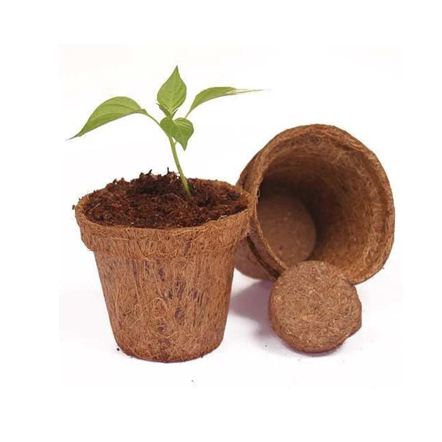 Hot Deal 2024 Coir Pot: Elevate Your Gardening Experience - Buy Coir ...