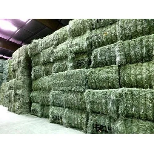 alfalfa hay for animal feeding and seeds cheap alfalfa hay bales packing bulk suppliers cattle ...