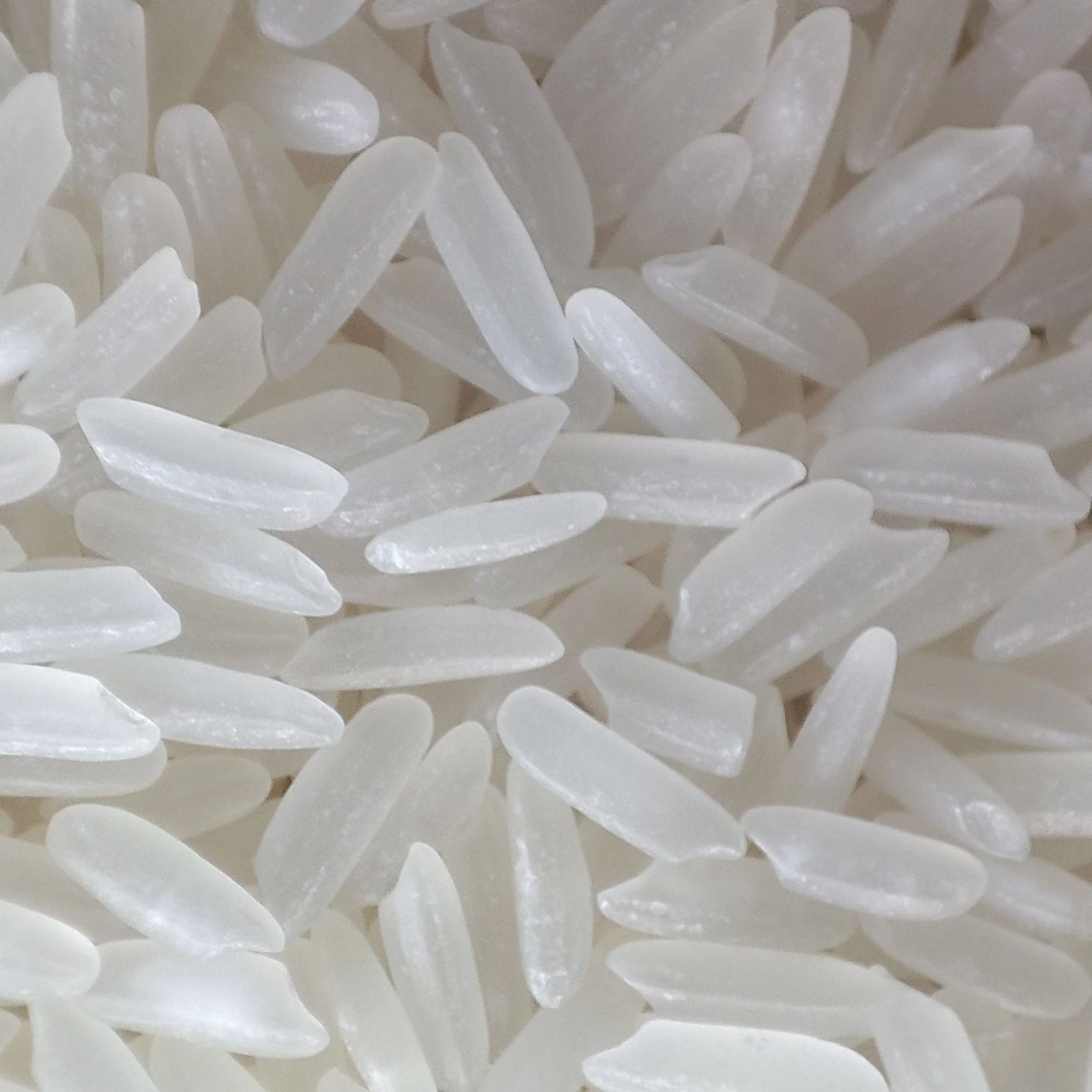 Best Quality Vietnamese New Crop White Rice Perfumed Jasmine Rice at ...