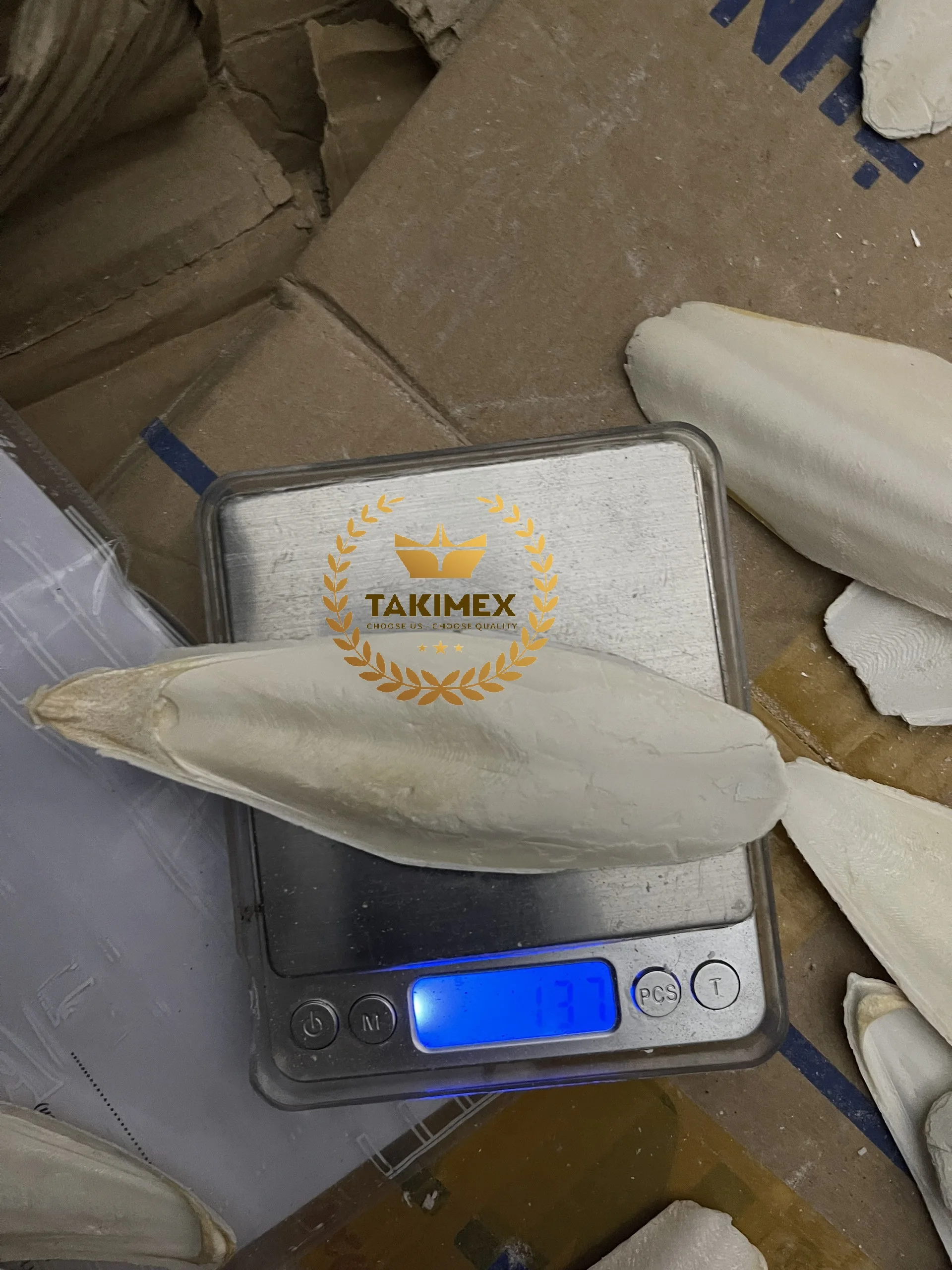 Very High Quality Dried Cuttlefish Bone/ Cuttle Bone/ Sepia Bone ...